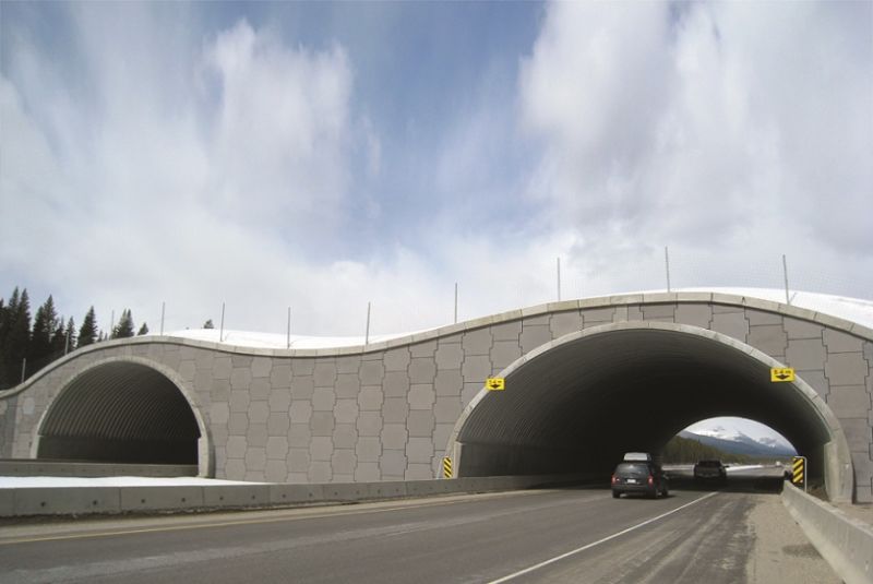 Geoquest's environmental commitments for the planet