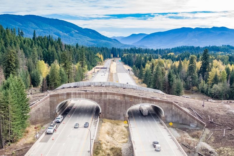 Geoquest's environmental commitments for the planet